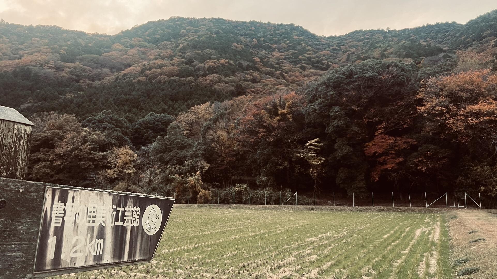 Chizuさんの投稿したフィールドメモ | YAMAP / ヤマップ