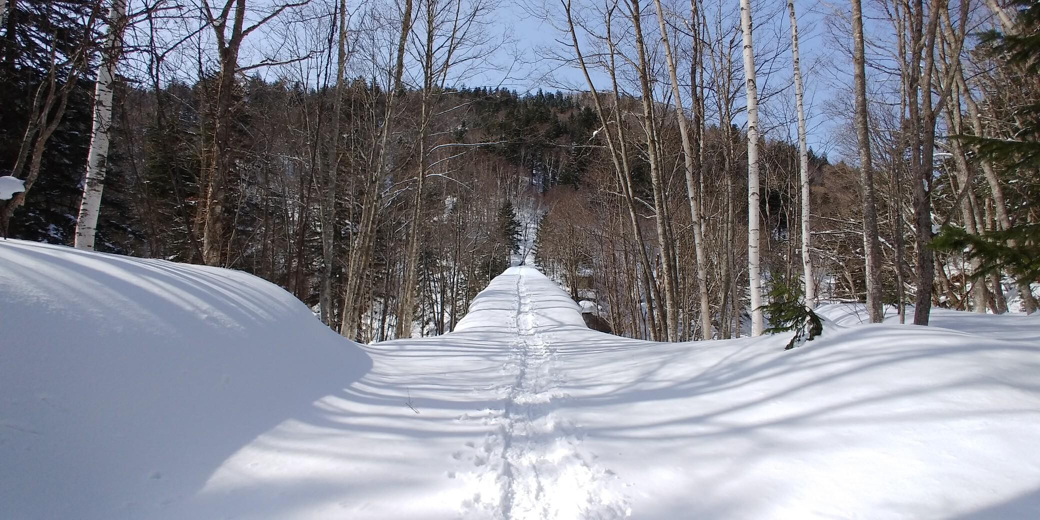 狭薄山 大峰山 / maximumさんの登山の活動日記 | YAMAP / ヤマップ