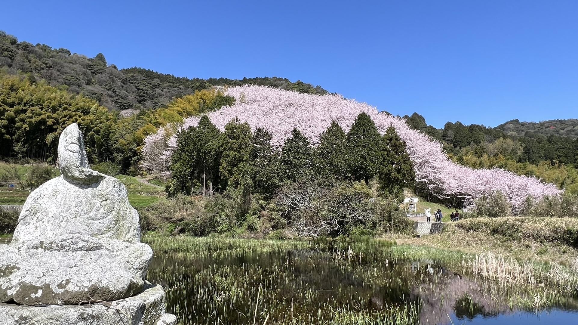 yu-yuさん、くんちゃんさんの🌸レポ... / hiroさんのモーメント | YAMAP / ヤマップ