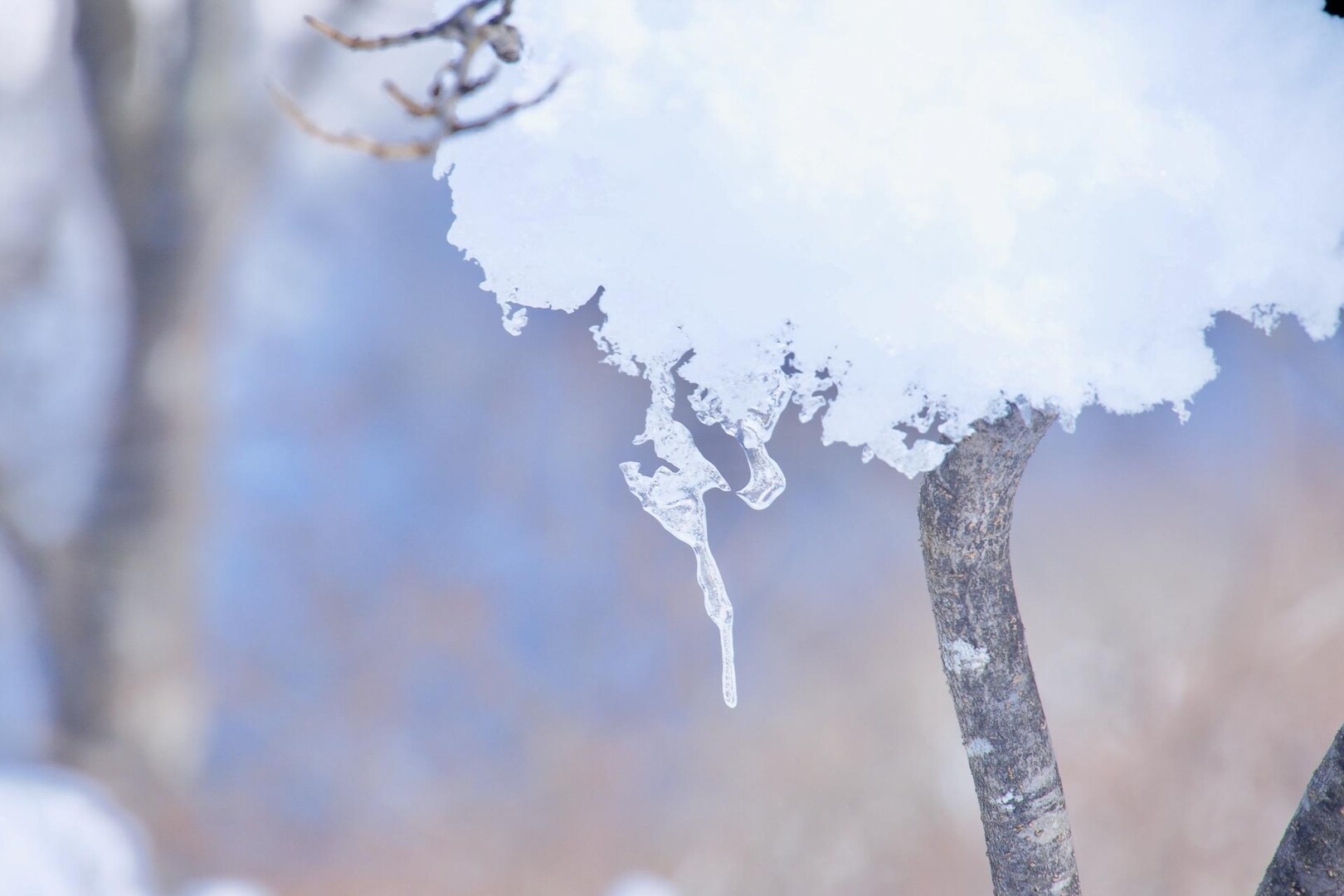 小貝月山・貝月山 / shouichiさんの貝月山の活動データ | YAMAP / ヤマップ