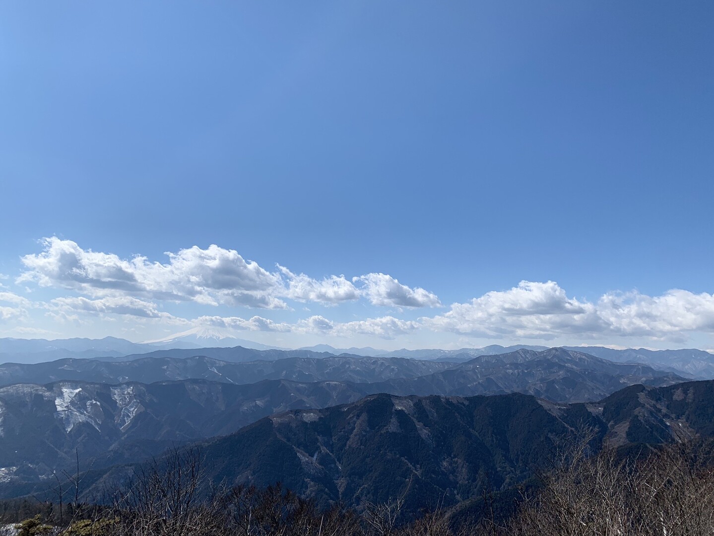 大岳山 / muramiさんの川苔山（川乗山）の活動データ | YAMAP / ヤマップ