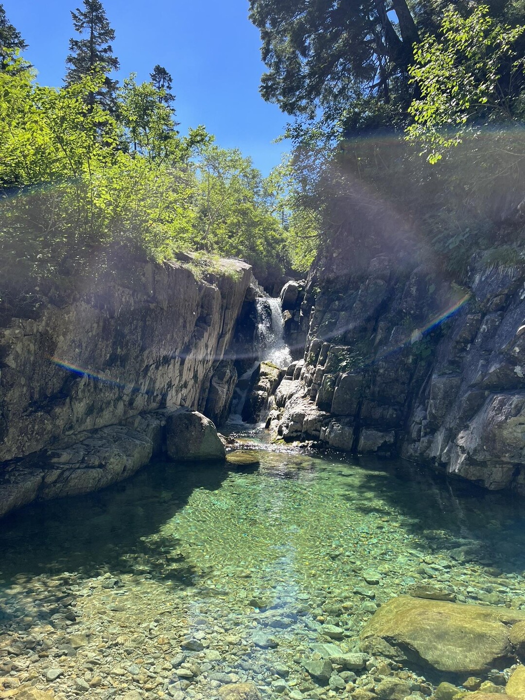 202308 折立〜岩井谷〜薬師岳 / yamakazuさんの水晶岳・薬師岳・黒部五郎岳・鷲羽岳・三俣蓮華岳・湯俣の活動データ | YAMAP / ヤマップ
