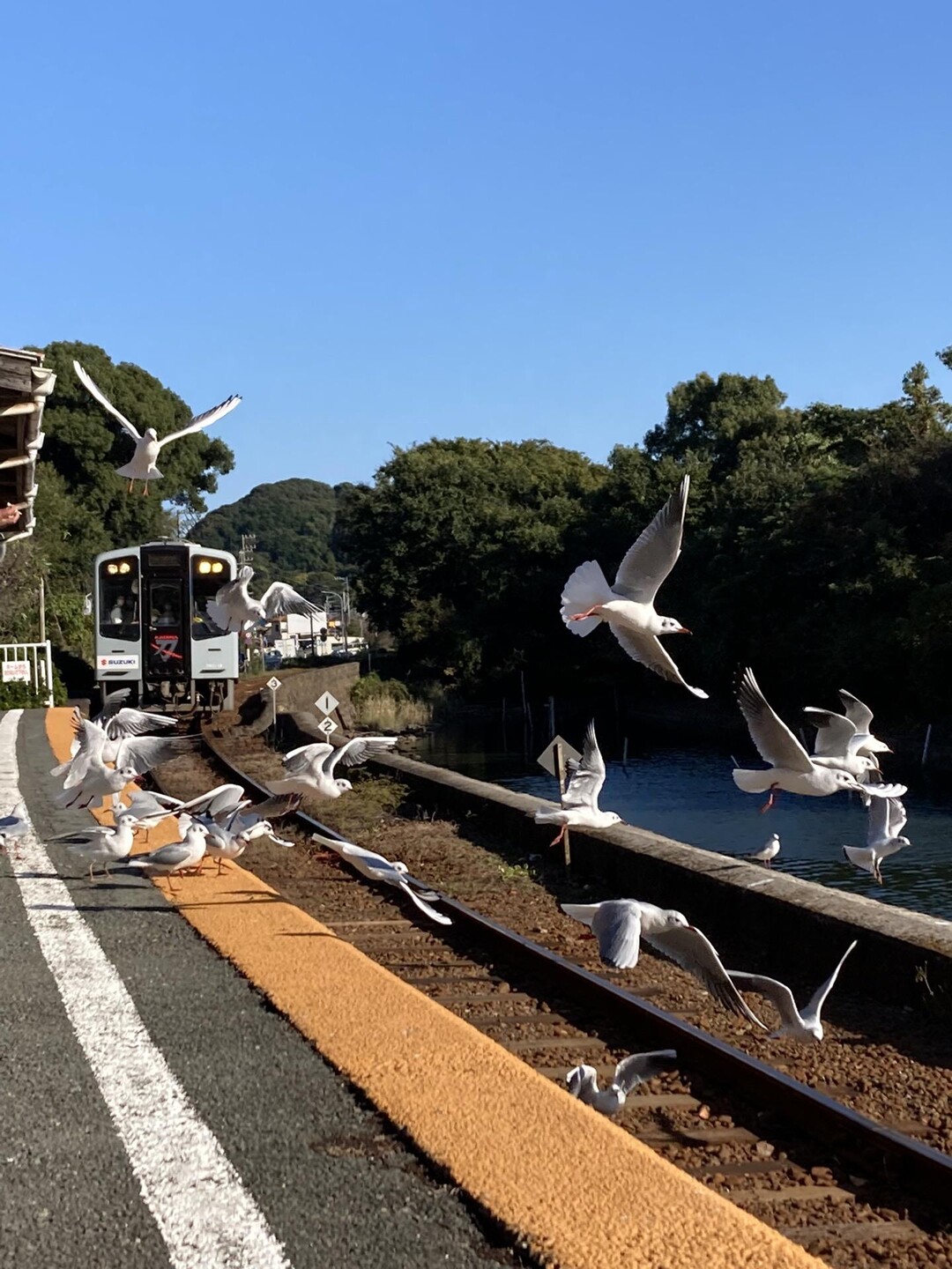 尉ヶ峰 / はるこさんの富幕山・尉ヶ峰・竜ヶ石山の活動データ | YAMAP / ヤマップ