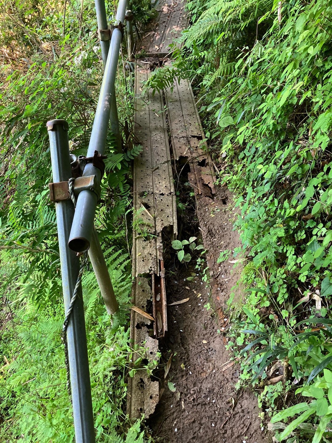 丹沢の麓^roku^さんの投稿したフィールドメモ | YAMAP / ヤマップ