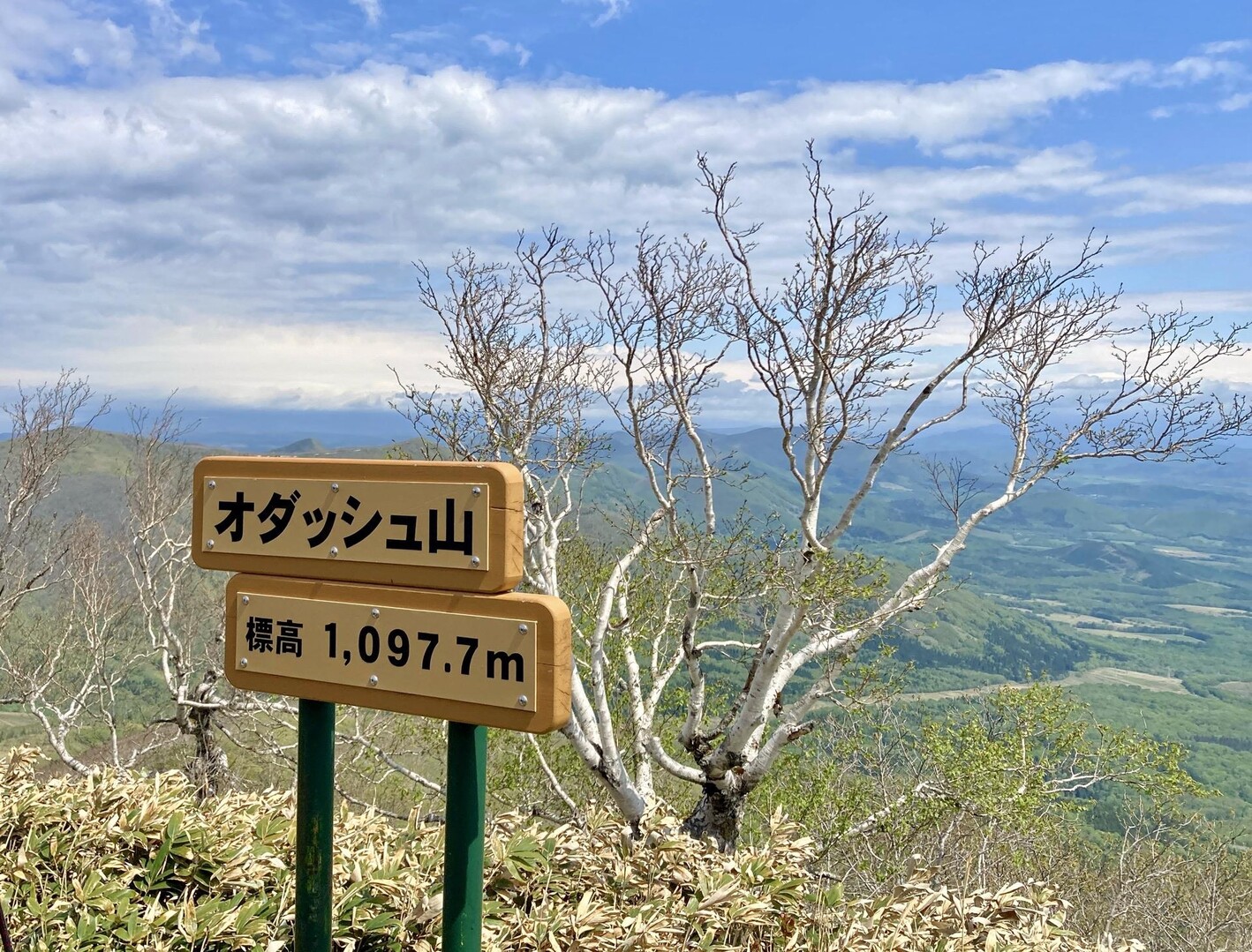 前峰・オダッシュ山 / こうえい1964さんのオダッシュ山の活動データ | YAMAP / ヤマップ