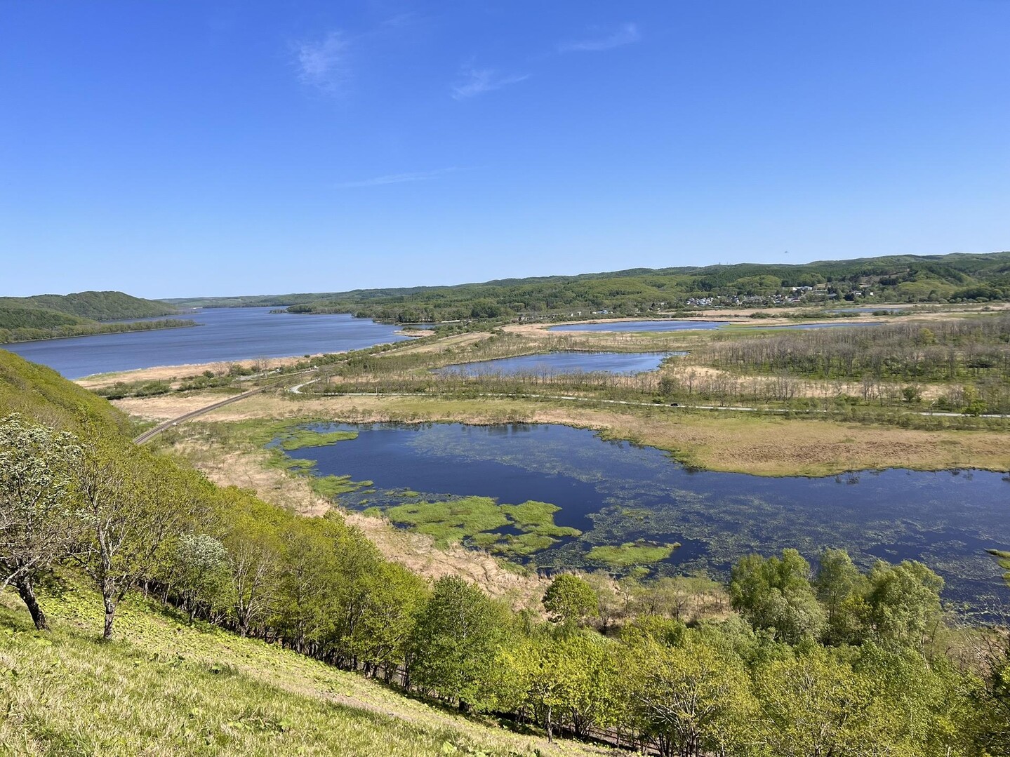 釧路湿原 サルボ歩道（サルルン・サルボ展望台） / aurelieさんの釧路川その4（五十石〜岩保木水門）の活動日記 | YAMAP / ヤマップ