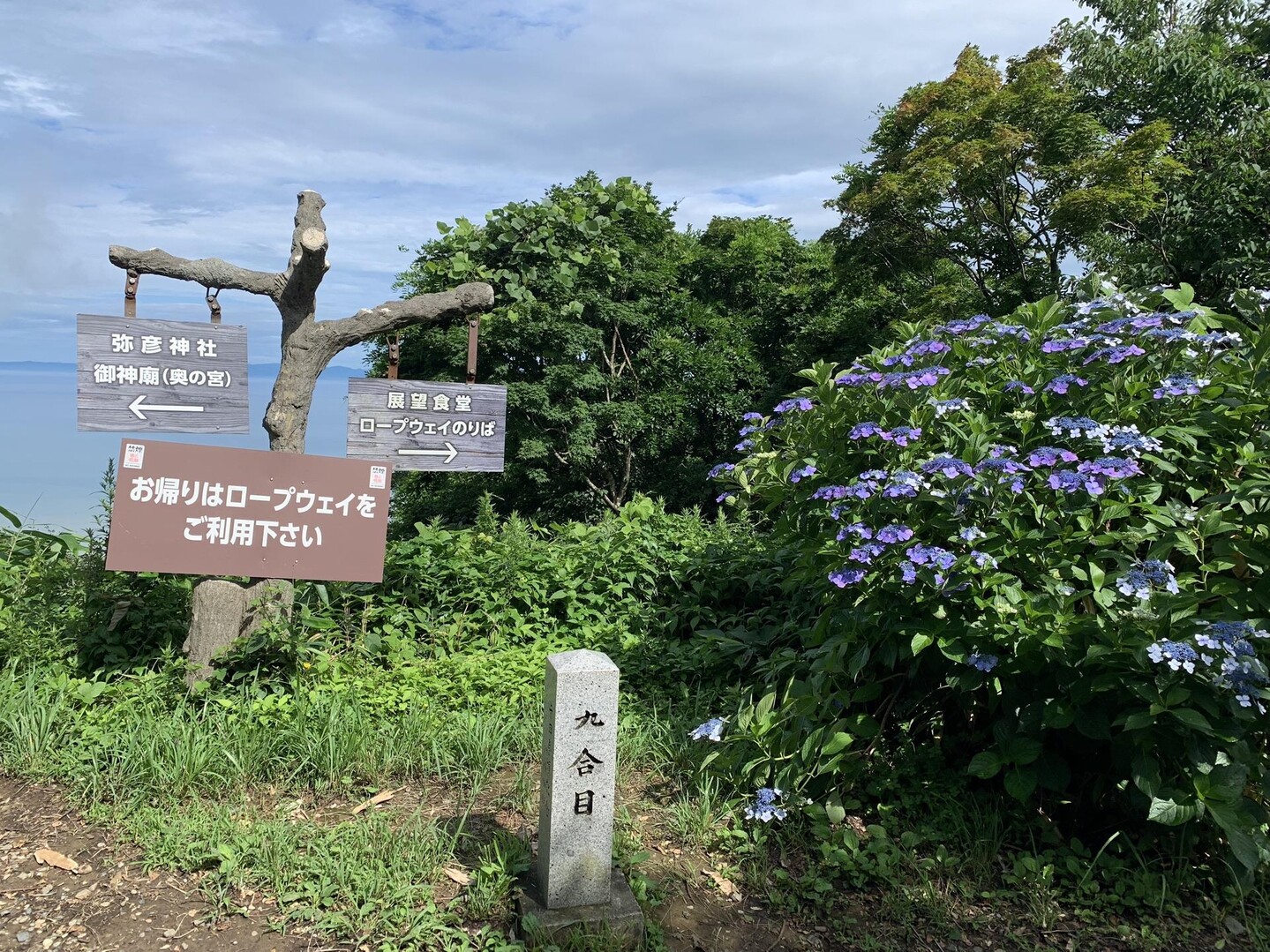 弥彦トレ / na_oさんの弥彦山・多宝山・雨乞山の活動データ | YAMAP / ヤマップ