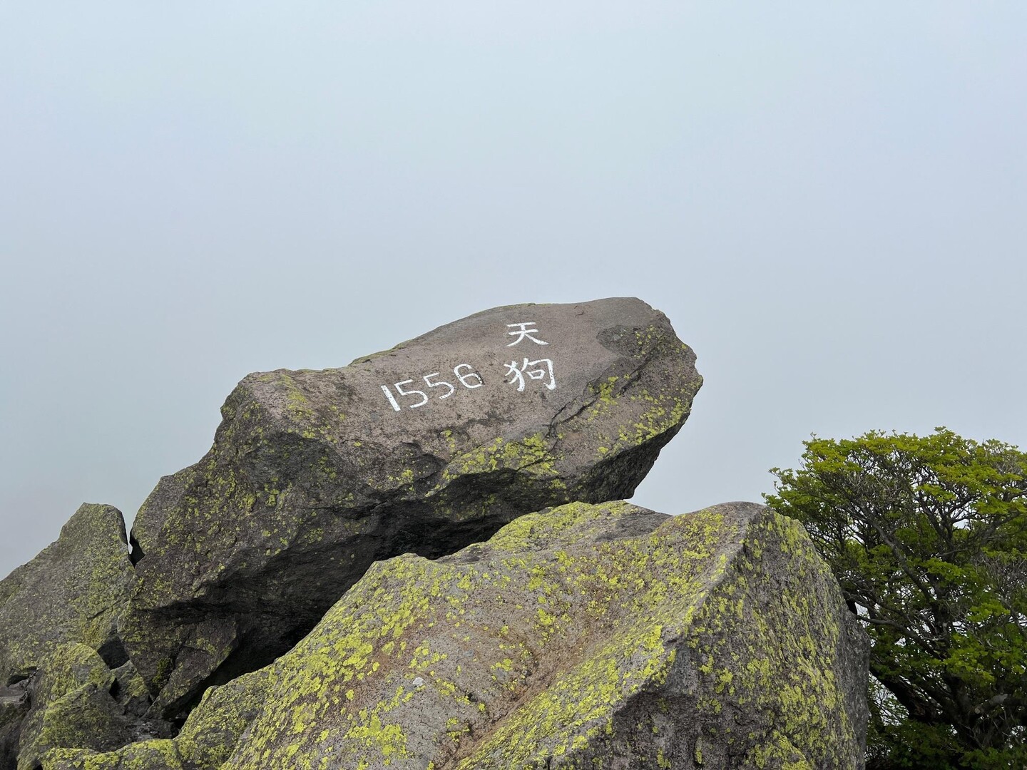 天狗は今日もガスだった / NALUさんの九重山（久住山）・大船山・星生山の活動データ | YAMAP / ヤマップ