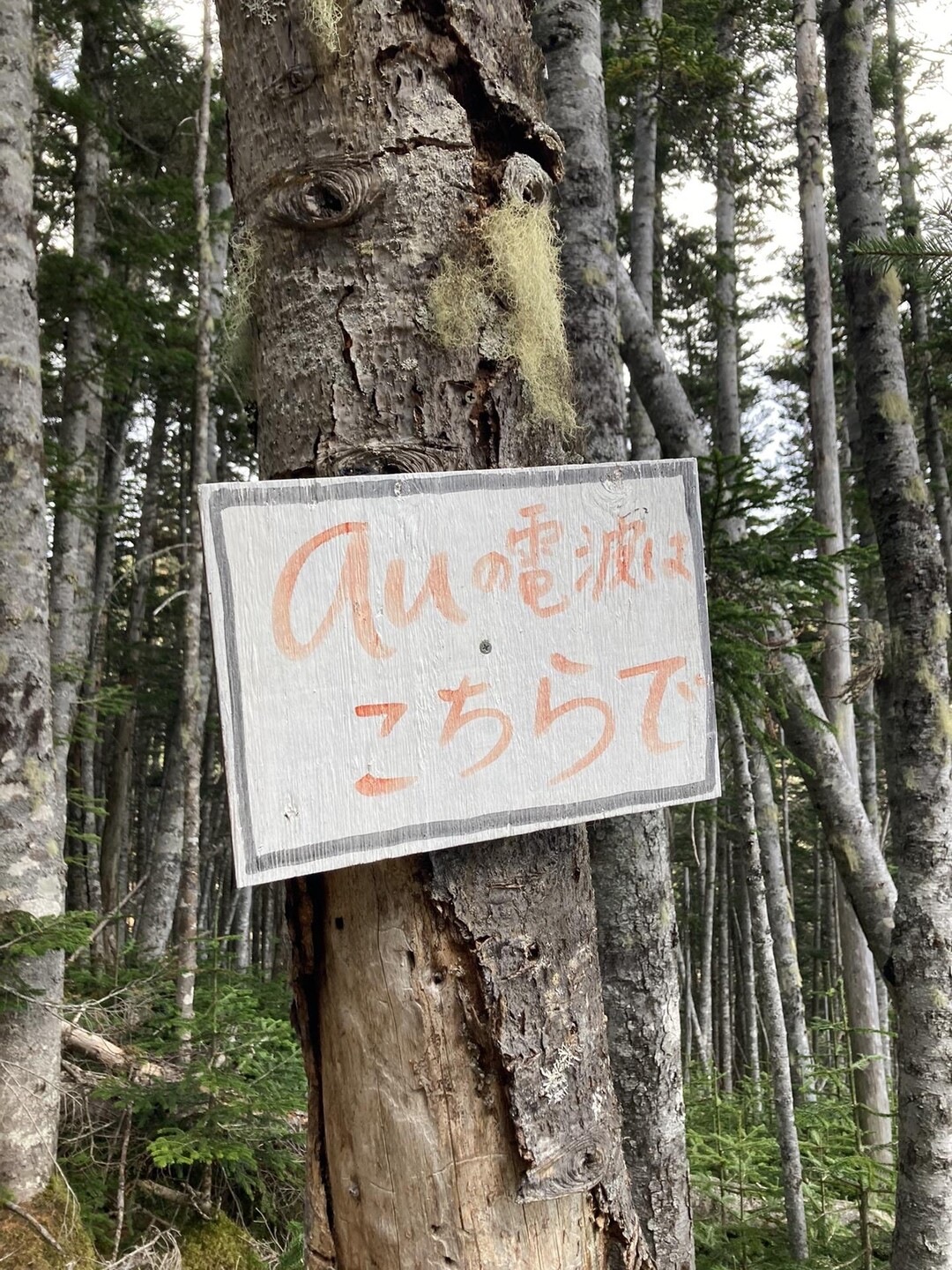 大橋 洋平さんの投稿したフィールドメモ | YAMAP / ヤマップ