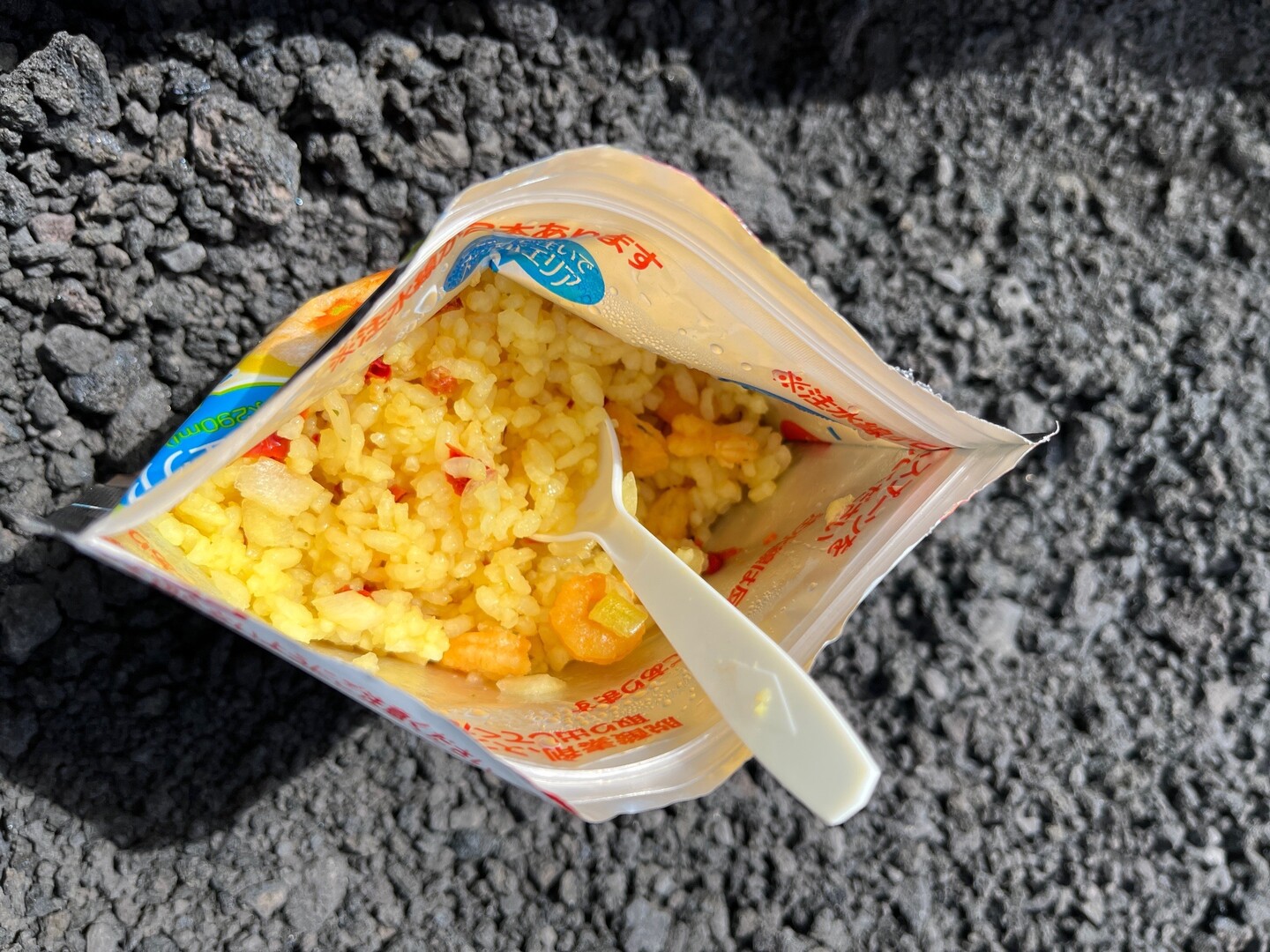 宝永山ぽ / ude-kingさんの富士山の活動データ | YAMAP / ヤマップ