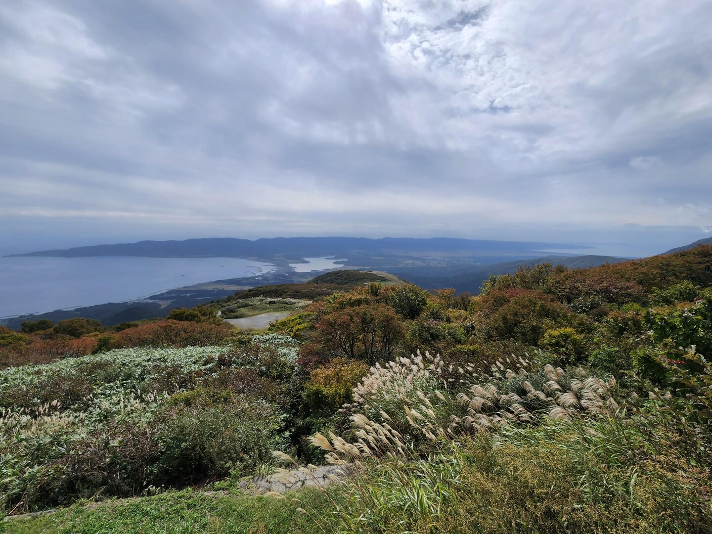 尻立山（ドンデン山) / NATSUさんの佐渡島の活動データ | YAMAP / ヤマップ
