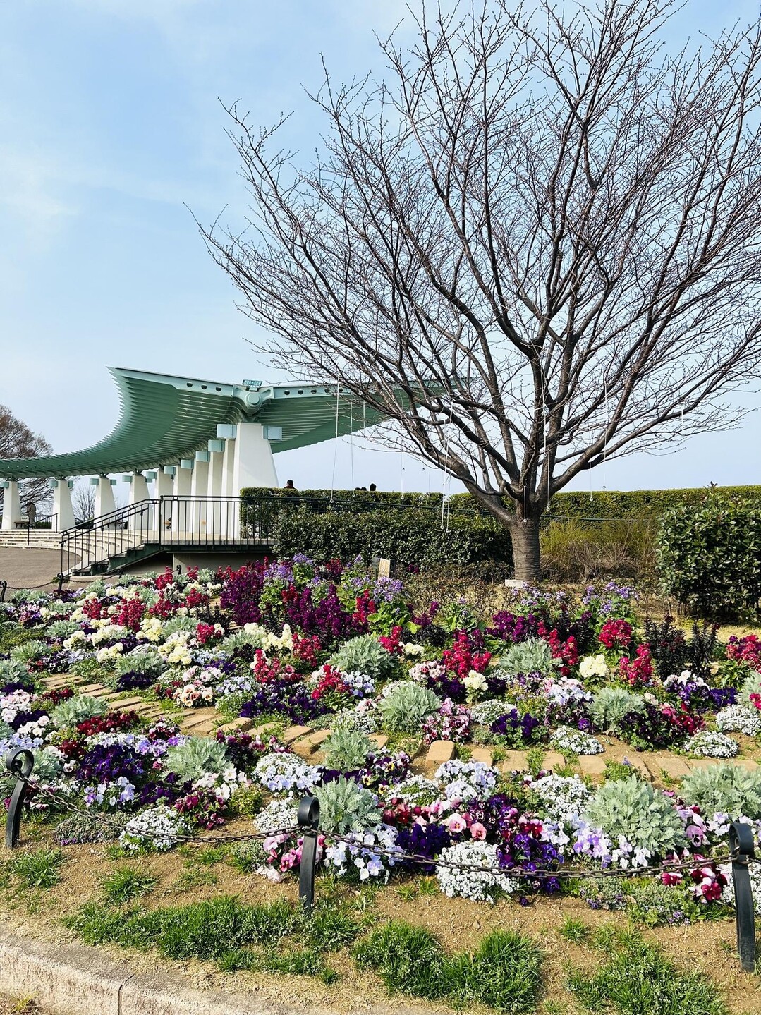 見晴らし山 in Yokohama. / Amy(エイミー)さんの横浜市 南エリアの活動データ | YAMAP / ヤマップ