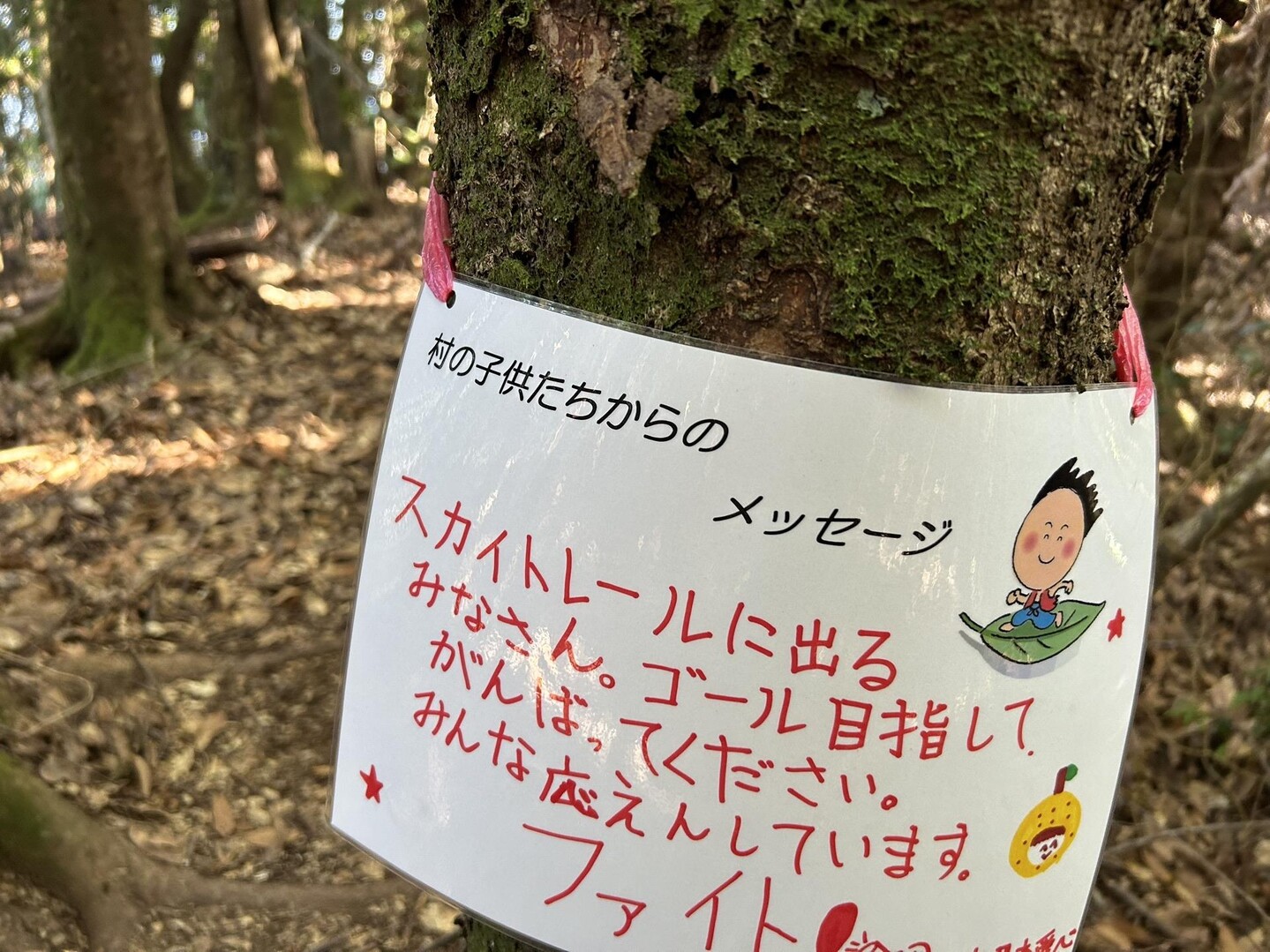 西米良スカイトレイル ロング / shigさんの市房山の活動データ | YAMAP / ヤマップ