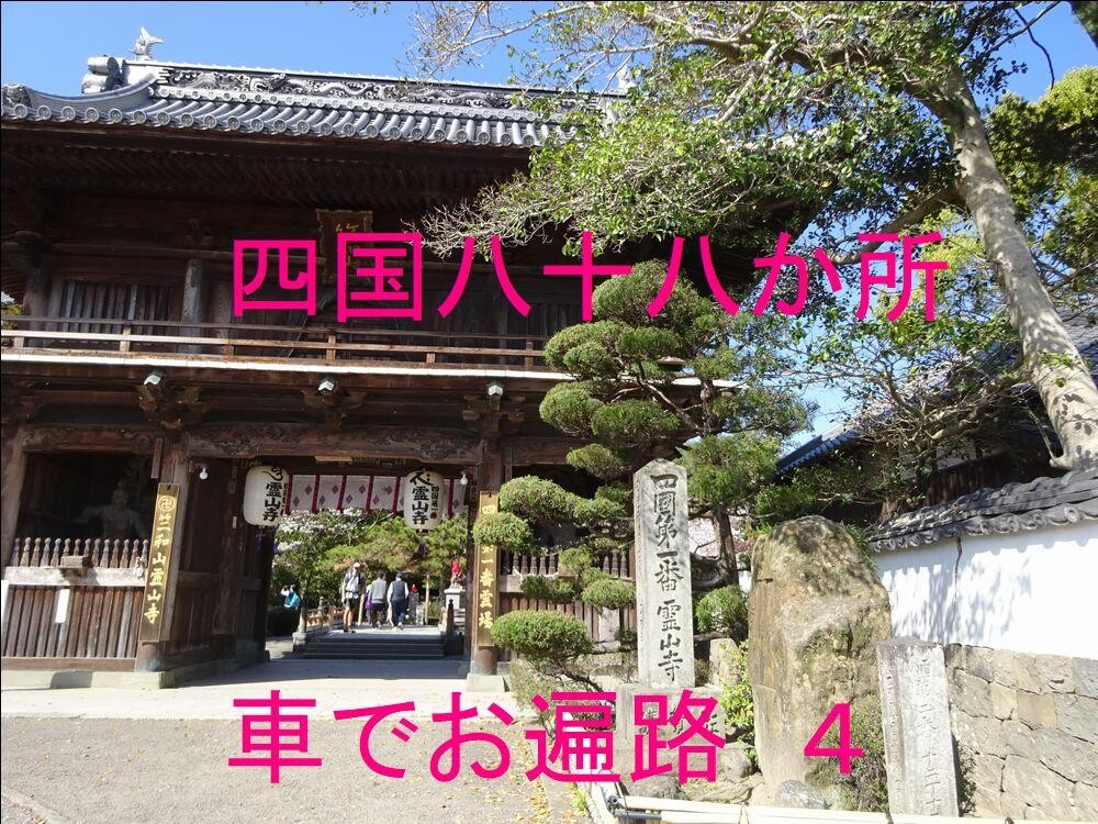 焼山寺山-2023-04-01 / nm25さんの焼山寺山の活動データ | YAMAP / ヤマップ