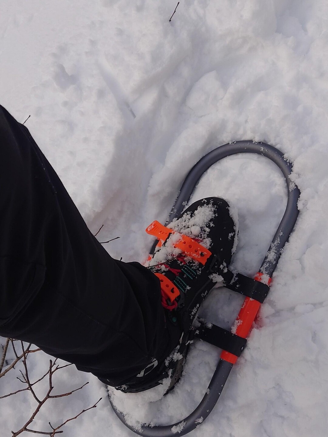 ワカントレーニングin那岐山 / cafe_rさんの那岐山・滝山・広戸仙の活動データ | YAMAP / ヤマップ
