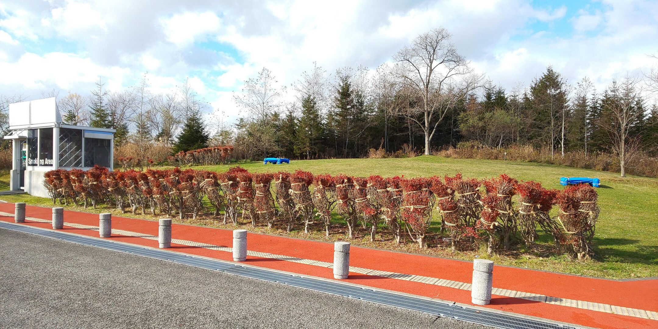 北海道旅行ミッション#7・静狩PA・冬の準備・トイレ休憩・ウォーキング-2022-11-17 / Jqさんの長万部岳の活動データ | YAMAP / ヤマップ