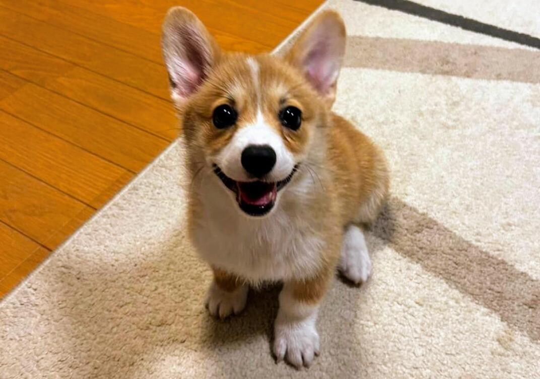 zumiのページ | YAMAP / ヤマップ