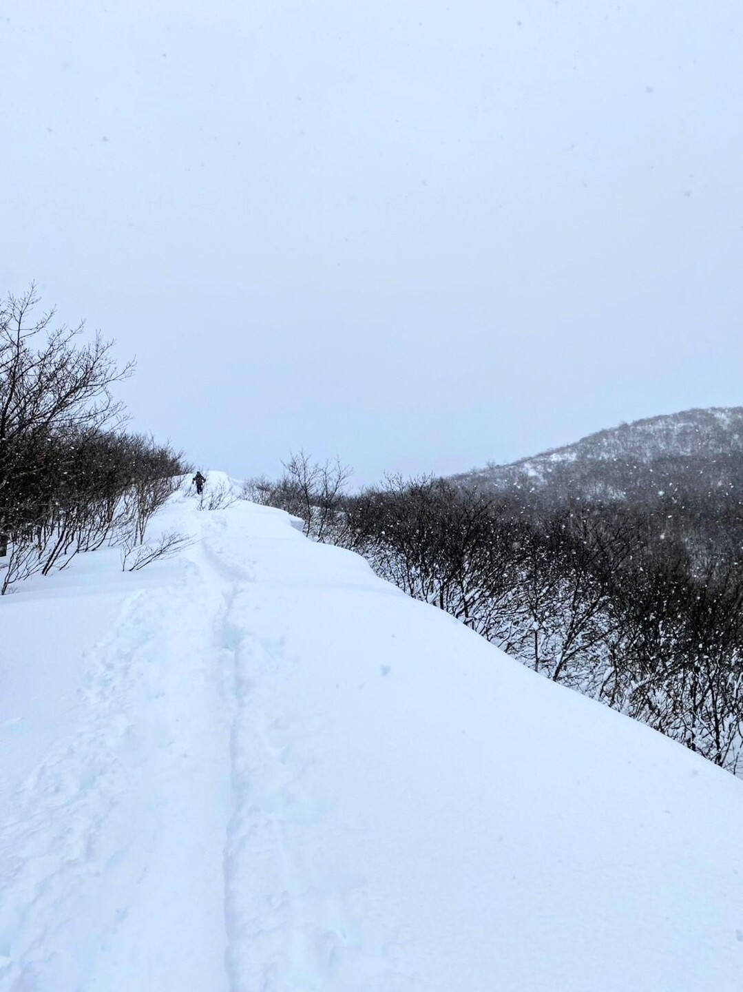 あの人とあの人に会った泉ヶ岳 / POKAさんの船形山（御所山）・泉ヶ岳・蛇ヶ岳の活動データ | YAMAP / ヤマップ
