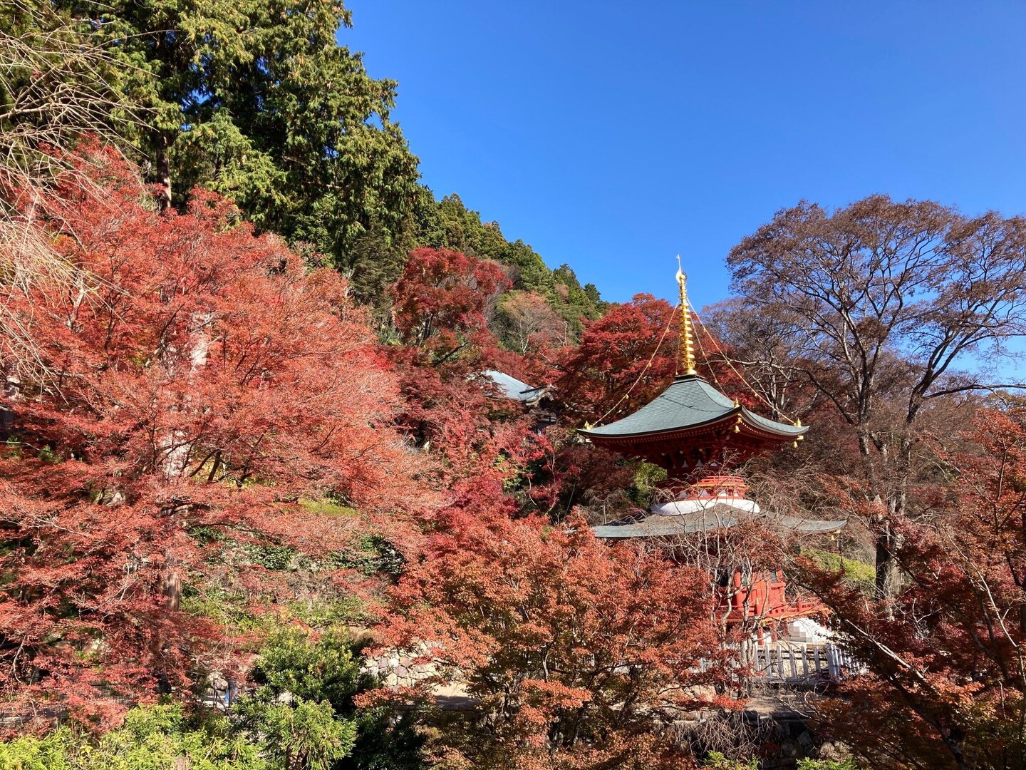最勝ヶ峰（箕面大滝〜勝尾寺） / Samさんの六個山・鉢伏山・明ヶ田尾山・五月山の活動データ | YAMAP / ヤマップ