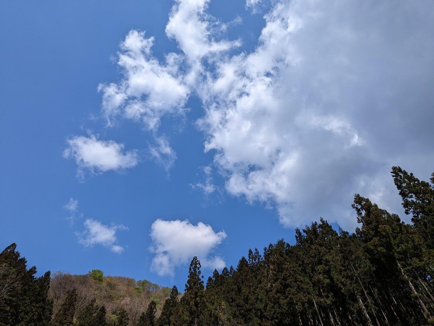 230409日本国555へ登る。⛅。上り... / ゆうさんのモーメント | YAMAP / ヤマップ