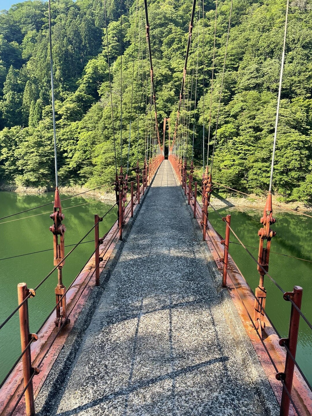 富士写ヶ岳 / muさんの富士写ヶ岳・小倉谷山・火燈山の活動データ | YAMAP / ヤマップ