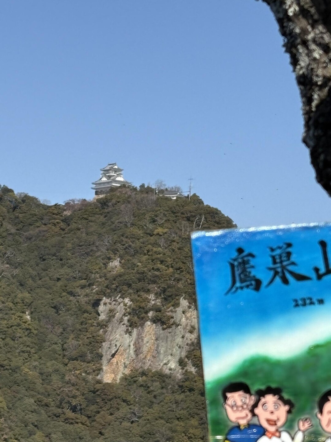 鷹巣山・鷹巣御前・金華山 / siroさんの金華山・洞山・舟伏山の活動日記 | YAMAP / ヤマップ