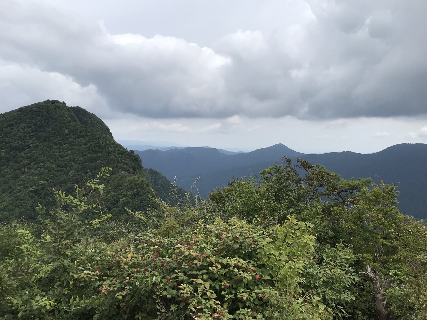 二本ボソ・倶留尊山 曽爾高原 久々の山登り / issanさんの倶留尊山・曽爾高原・古光山の活動データ | YAMAP / ヤマップ