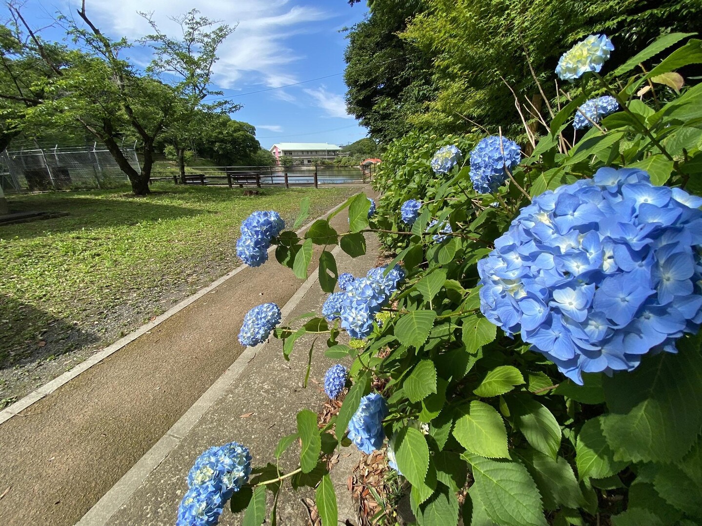 垣生公園までジョギング 貴船山・医王山・御座ノ瀬山・羅漢山・八幡山 / KudoMさんの北九州市（八幡西区・若松区）の活動データ | YAMAP / ヤマップ