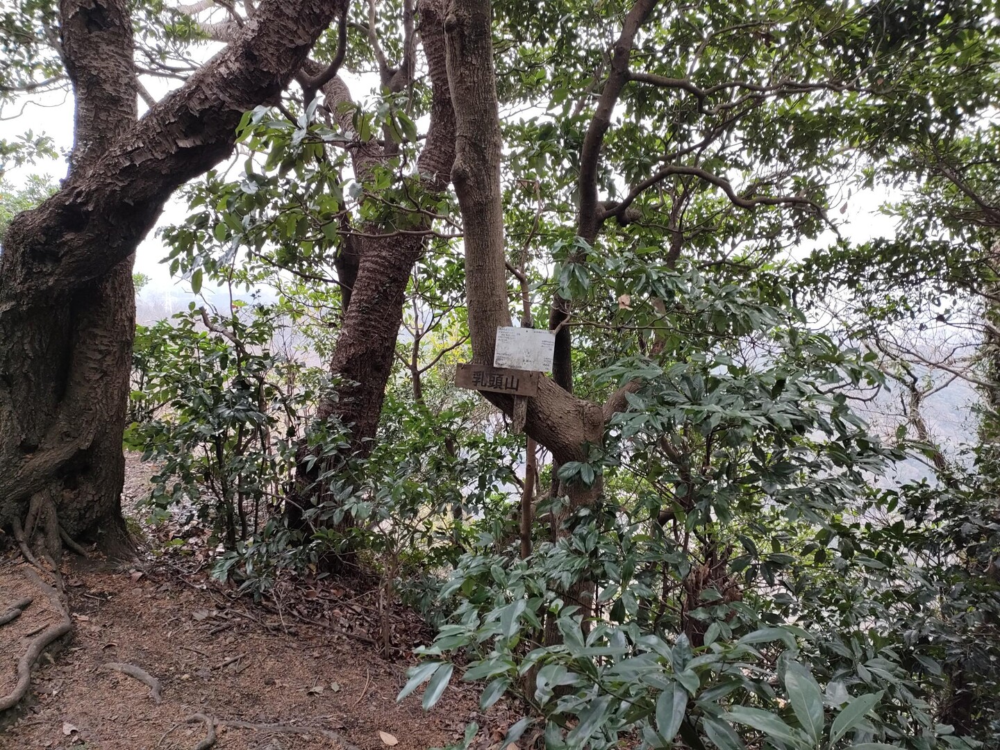 仙元山ラウンド / とうしょうぐんさんのMIURA BIKE&HIKE ADVENTUREの活動データ | YAMAP / ヤマップ