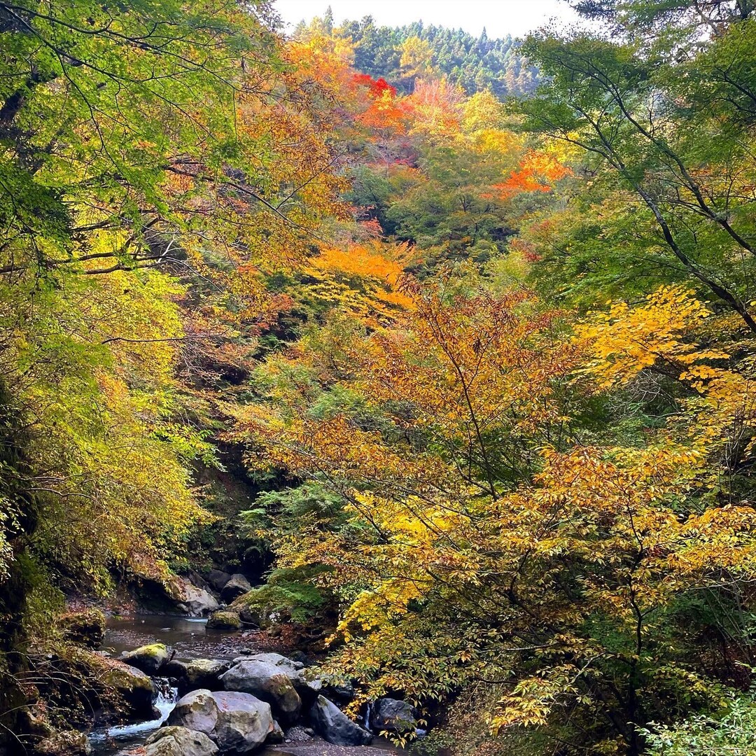 「やまなしハイキングコース100選」より、『大柳川渓谷』 / えみっちさんの富士見山・御殿山の活動データ | YAMAP / ヤマップ