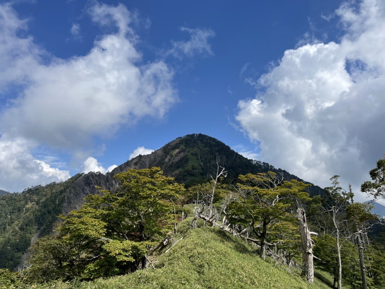 深南部 バラ谷の頭・黒法師岳 / Jin.wさんの黒法師岳・前黒法師岳・不動岳の活動日記 | YAMAP / ヤマップ
