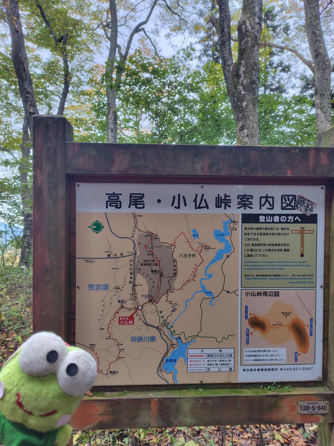 城山（小仏城山）・高尾山・神変山 / WING KERO ZEROさんの高尾山・陣馬山・景信山の活動データ | YAMAP / ヤマップ