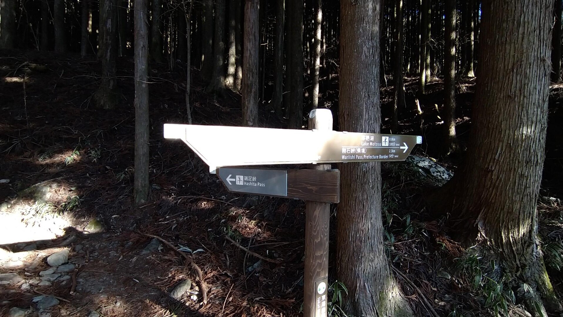 Mixさんの投稿したフィールドメモ | YAMAP / ヤマップ