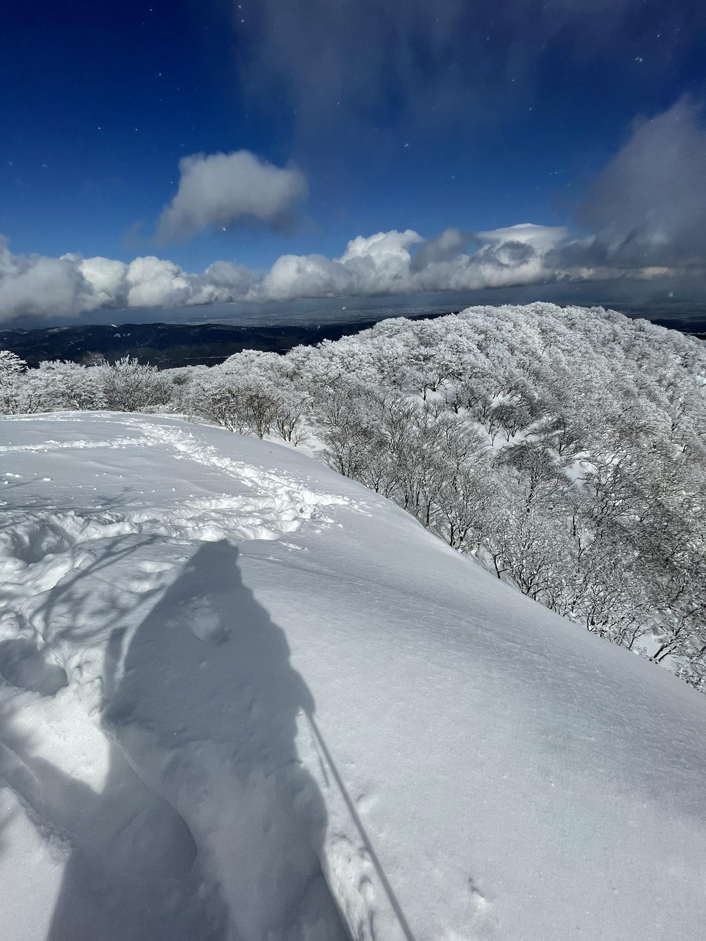 藤原岳・天狗岩 / suisoさんの藤原岳・御池岳の活動データ | YAMAP / ヤマップ