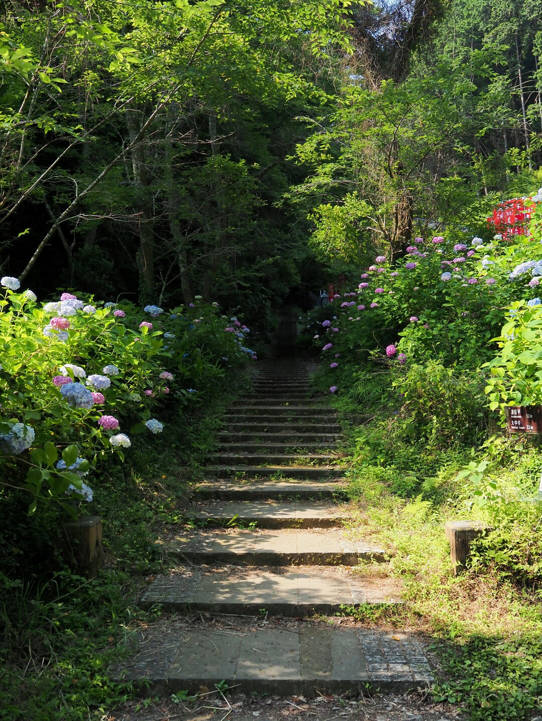 太平山・晃石山 / shibacoさんの太平山・晃石山・唐沢山の活動データ | YAMAP / ヤマップ