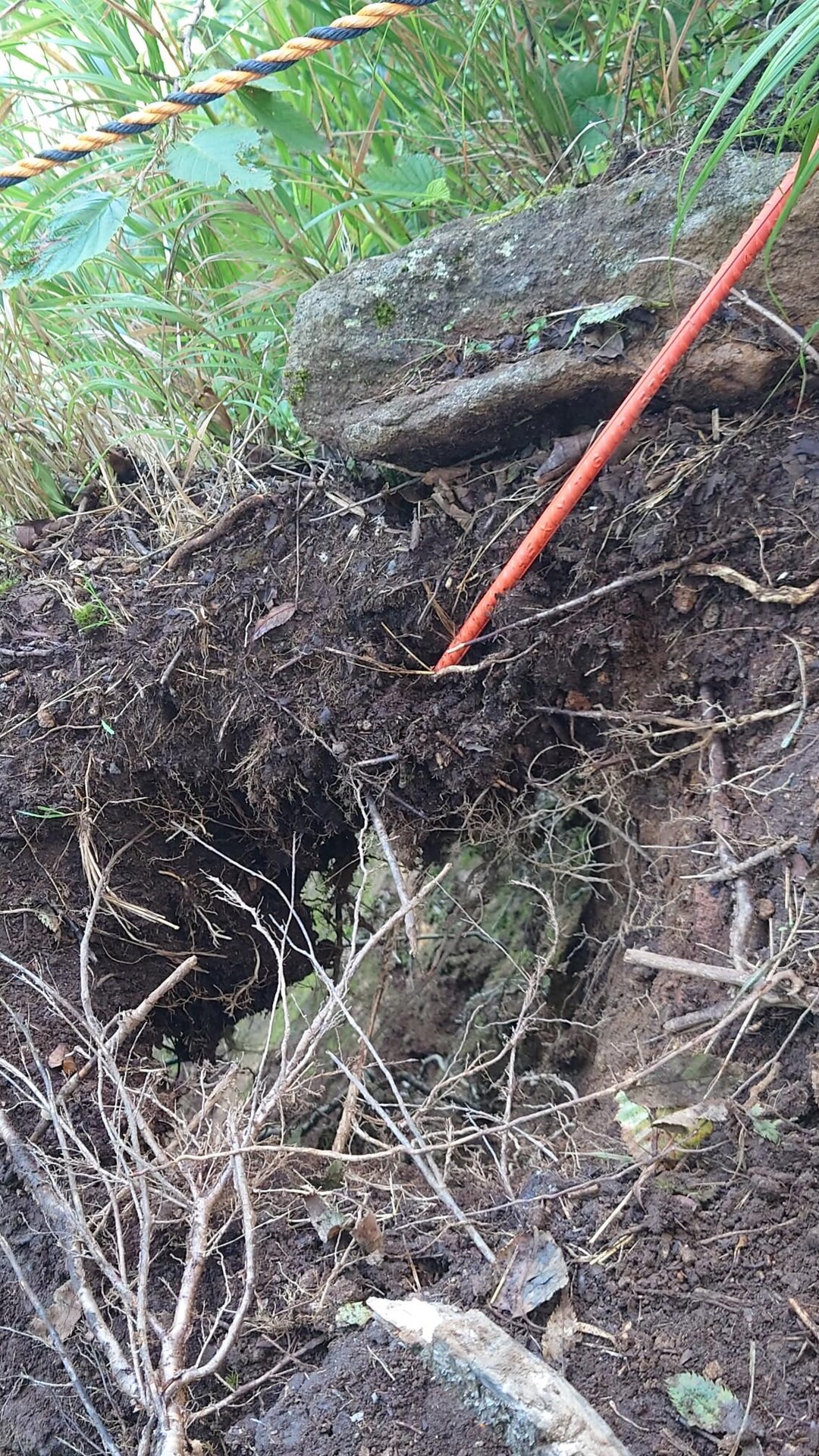 makyさんの投稿したフィールドメモ | YAMAP / ヤマップ