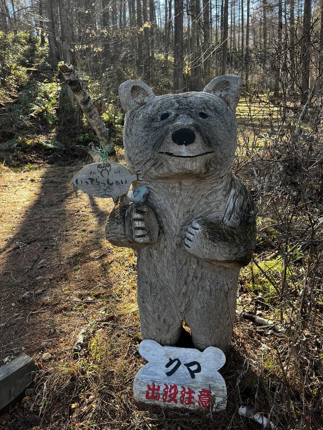 守屋山 / miyukiさんの守屋山の活動データ | YAMAP / ヤマップ