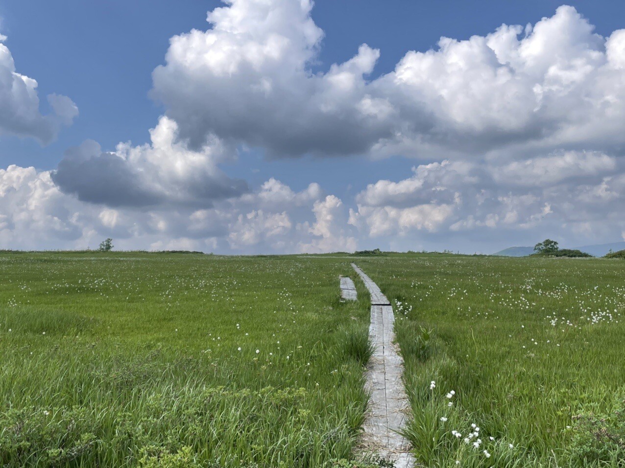 乳頭山→三ツ石大馬蹄 ️パラダイス湿原堪能ぼっち2days / hirosyさんの乳頭山・湯森山・大白森の活動データ | YAMAP / ヤマップ