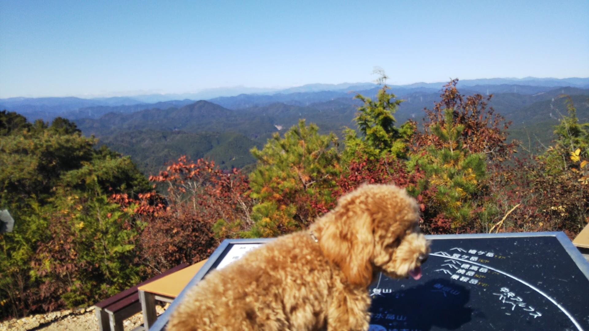 納古山 / daigo777さんの納古山の活動データ | YAMAP / ヤマップ