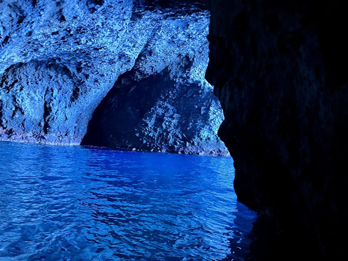 北海道観光⑪小樽天狗山・青の洞窟・藻岩山 2023🍁秋 / Lucky Jr.さんの函館山の活動データ | YAMAP / ヤマップ