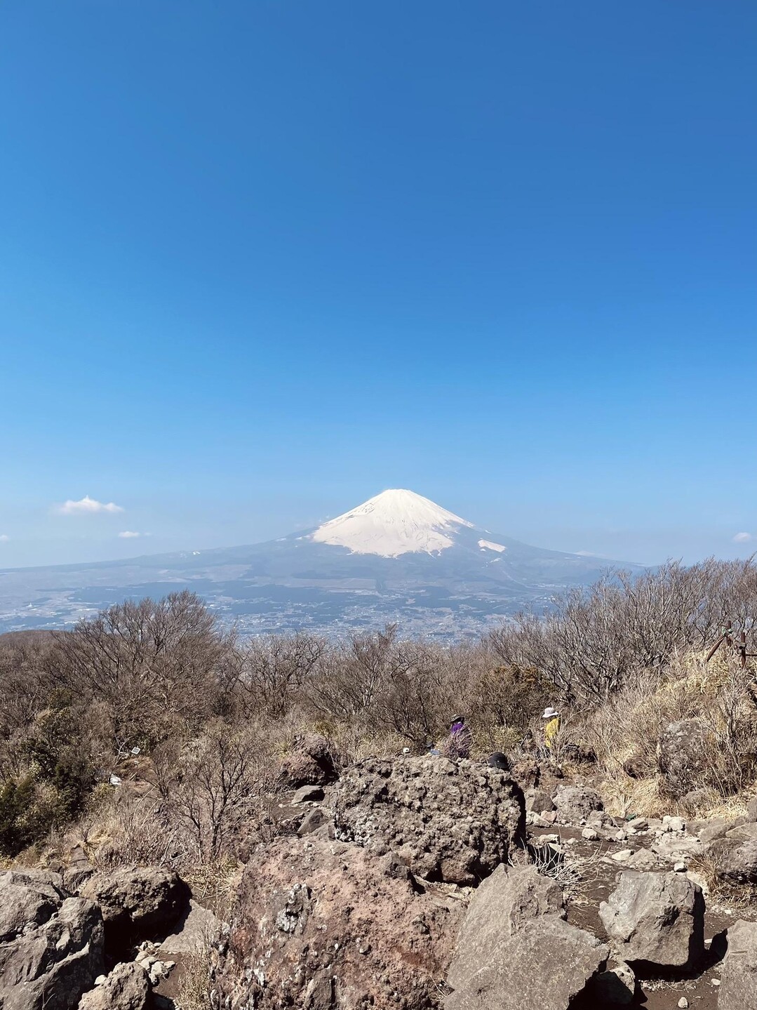 金時山 / risa さんの金時山・明神ヶ岳の活動データ | YAMAP / ヤマップ