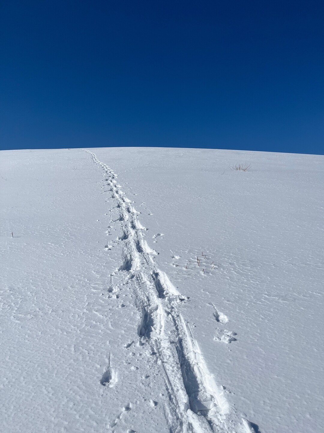 寒風山・姫ヶ岳 / sada 23さんの男鹿半島の活動データ | YAMAP / ヤマップ