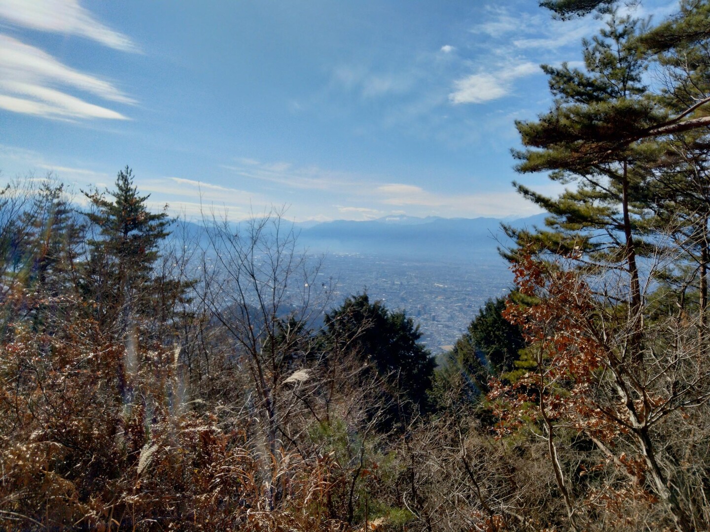 Little Myさんの投稿したフィールドメモ | YAMAP / ヤマップ