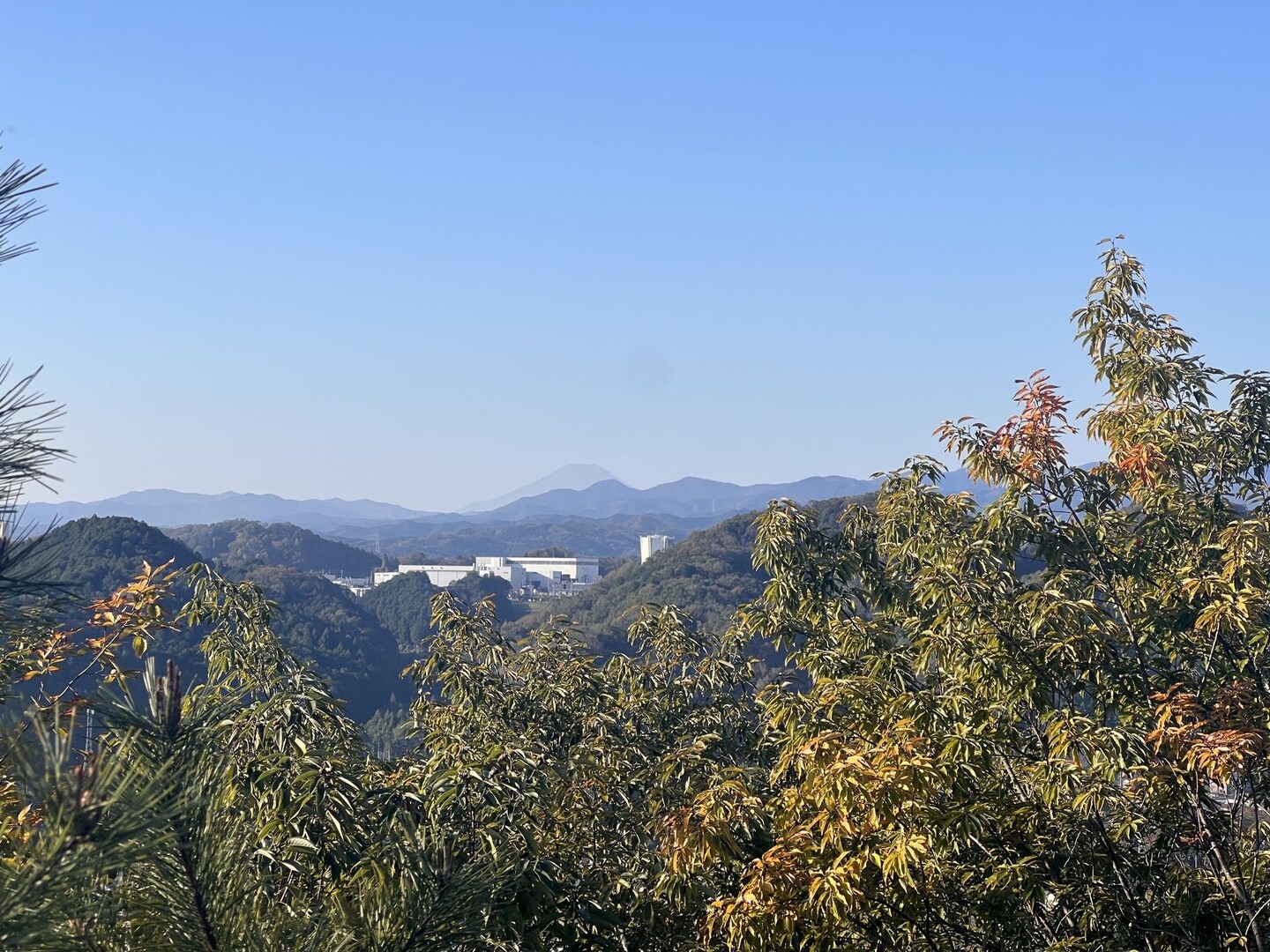 天覧山・多峯主山・天覚山 / MUNAさんの天覧山・多峯主山・天覚山の活動データ | YAMAP / ヤマップ