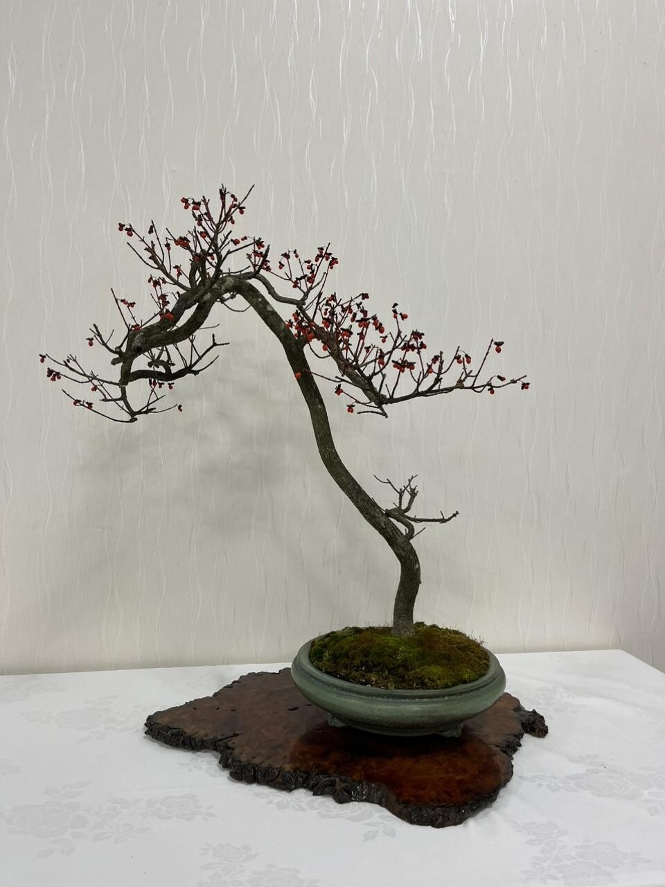 naoのページ | YAMAP / ヤマップ