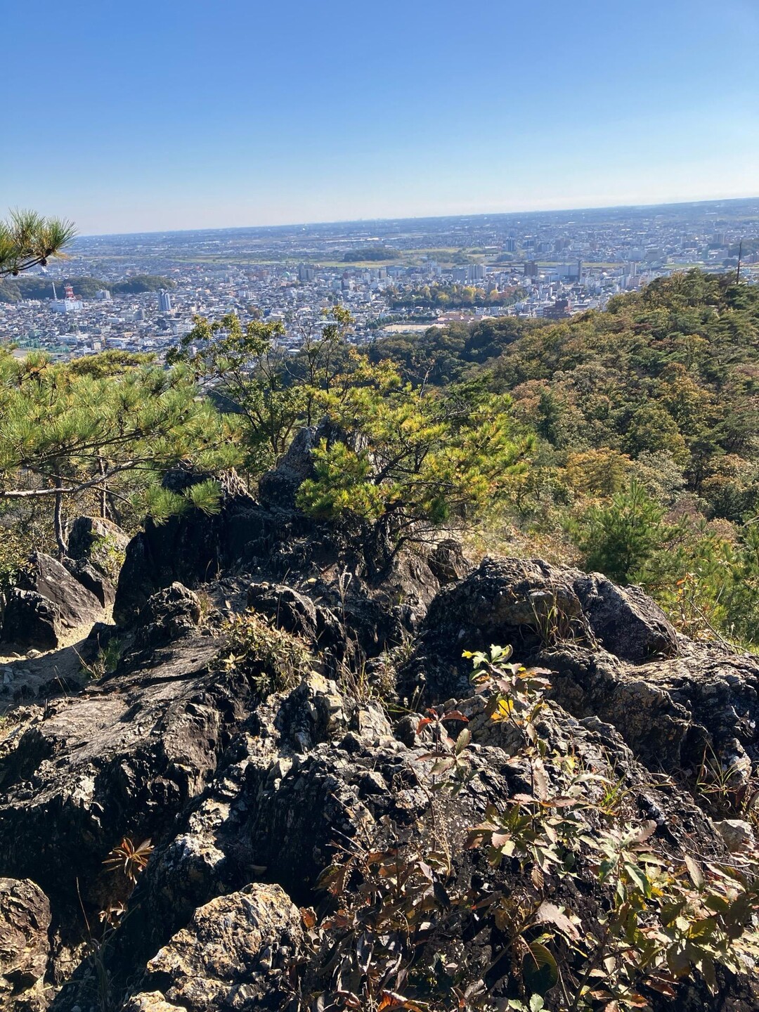 両崖山・黒岩山・小天狗 / CPさんの両崖山・仙人ヶ岳・石尊山の活動データ | YAMAP / ヤマップ