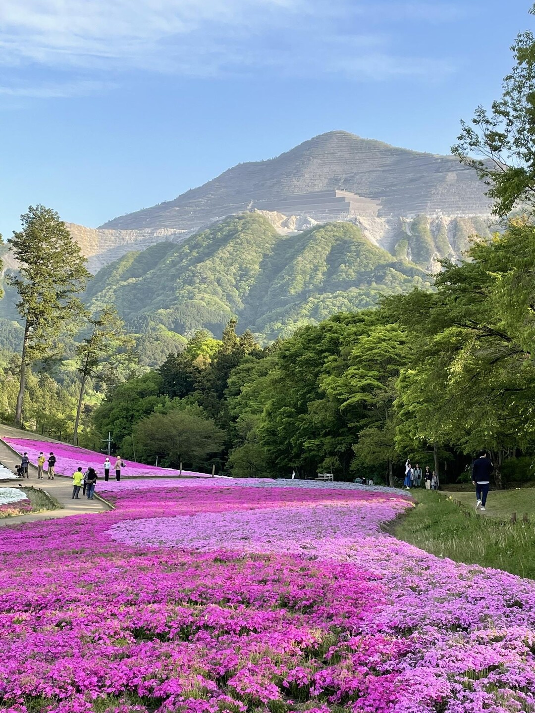秩父の羊山公園へ🚙〜 夕方だったので人... / びりのんさんのモーメント | YAMAP / ヤマップ