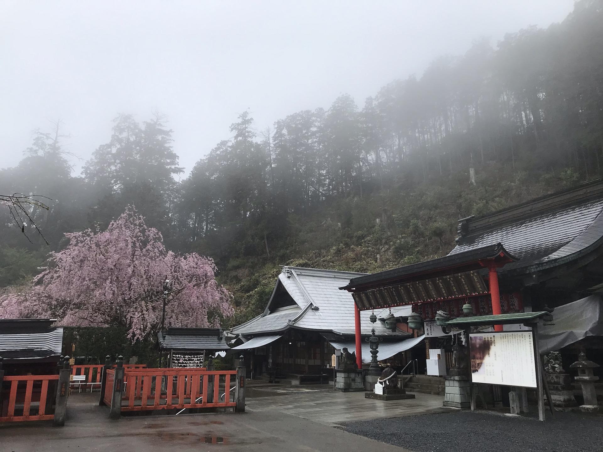 太平山・晃石山 / aoi-stepさんの太平山・晃石山・唐沢山の活動データ | YAMAP / ヤマップ
