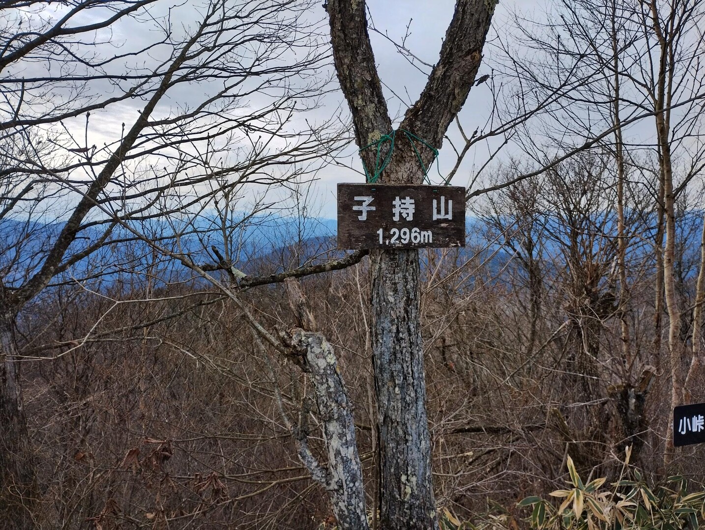子持山（周回・日帰り） / YK_ygtさんの子持山の活動データ | YAMAP / ヤマップ