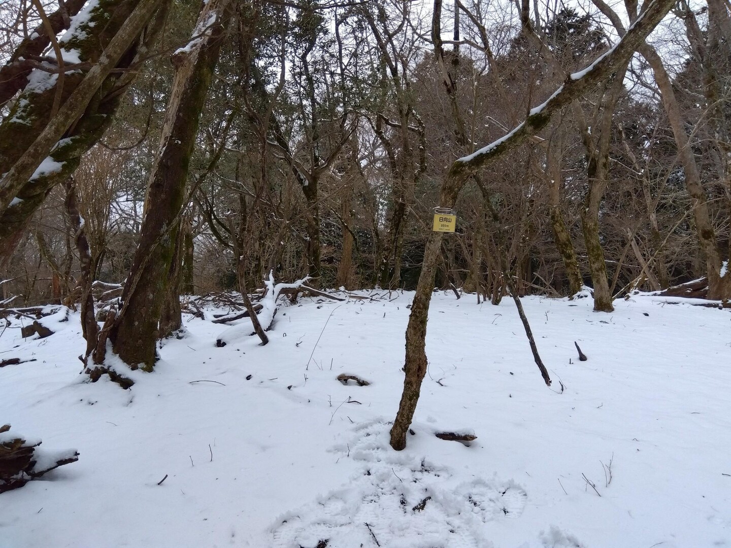 要注意⚠️⚠️⚠️ 日向山は、... / senbu2(センブツ)さんのモーメント | YAMAP / ヤマップ